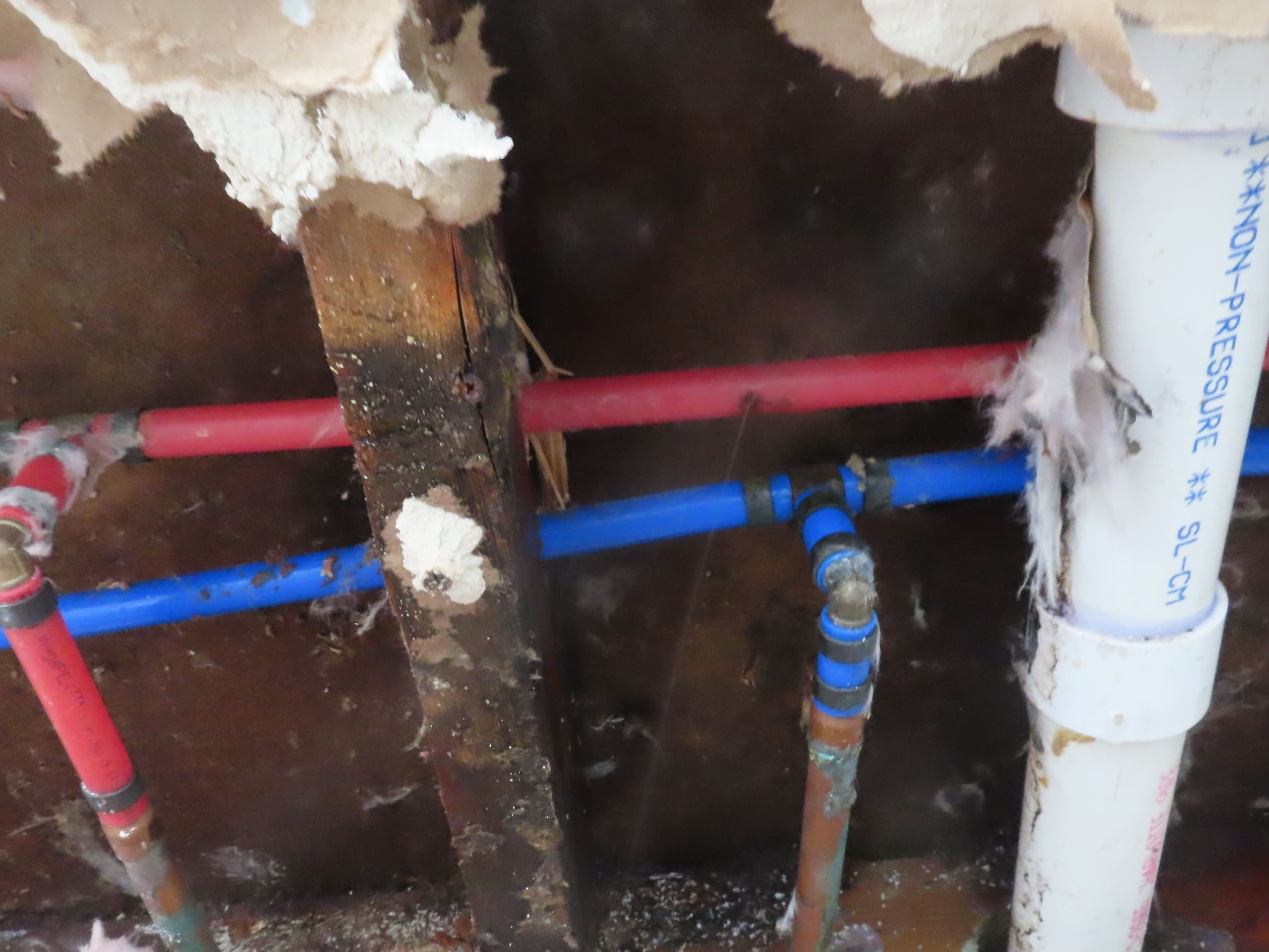 Water Damage Mitigation Guide for Smooth Insurance Claim Process